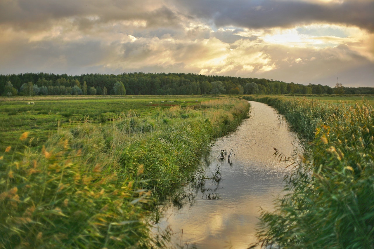 HANNN: Ecosysteemontwikkeling voor schoon water, multidisciplinair ...